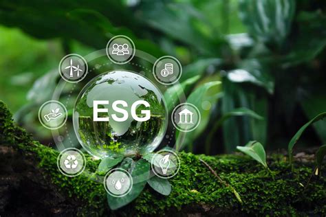 The Current Regulatory Landscape In The Esg Field And What Should We