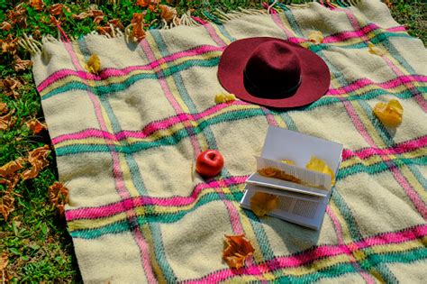 프린지 빨간 페도라 사과 노란색 낙엽으로 덮인 열린 책이 있는 체크 무늬 담요 노란 잎잔디에서 가을 가을 피크닉 맨 위