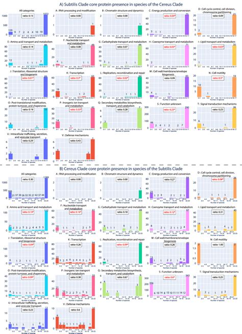 A The Phylogenetic Distribution Of Core Proteins Of The Subtilis Download Scientific Diagram