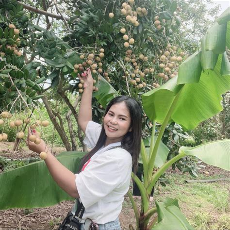 មាន សោភា