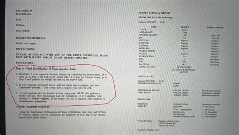 Solved Lab 13 Data You Received The Following Sample From