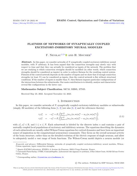 Pdf Flatness Of Networks Of Synaptically Coupled Excitatory Inhibitory Neural Modules