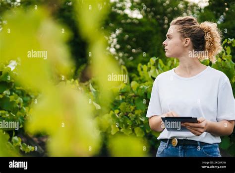 Woman At Agriculture Farm Use Smart Farming Digital Technology App