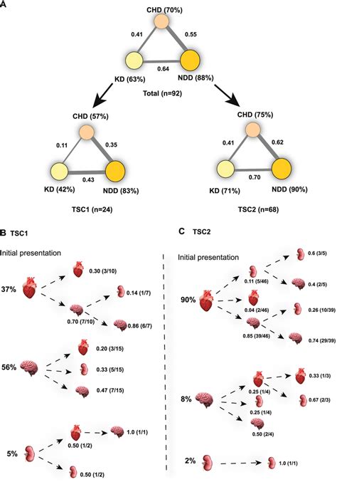 The Frequency And Co Occurrence Of TSC Manifestations And Lifetime