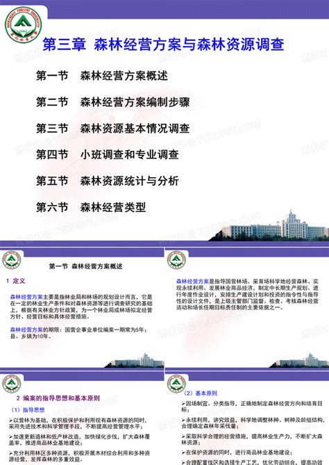 森林经营方案及森林资源调查PPT模板下载 编号qoznjpnb 熊猫办公