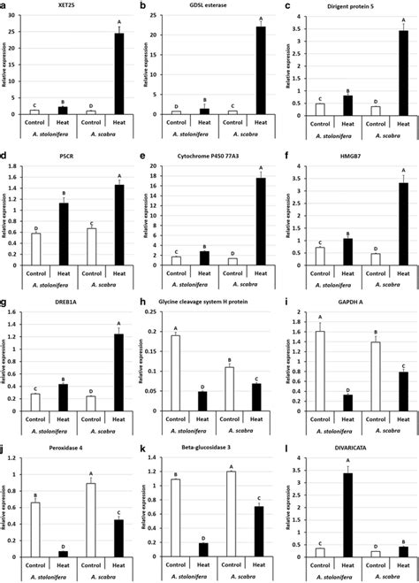Relative Gene Expression Levels Of Selected Transcripts Including