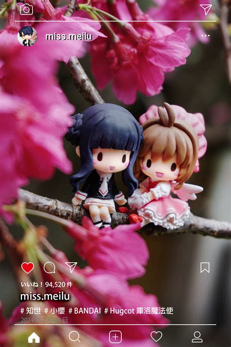 Meilu🍥美祿™lu醬 🌸點點櫻花爛漫🌸 黏土娃 P10 左然 蕭逸 白起 Hugcot ︎庫洛魔法使 Plurk