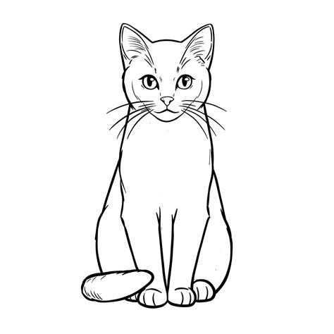 How To Draw Cats 19 Easy Guides In One Tutorial Sketchok Cat