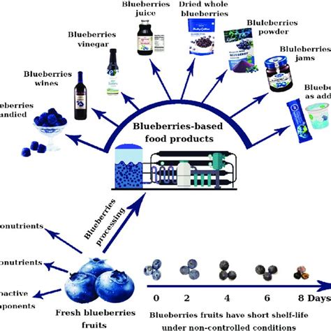 Schematic Diagram Of Available Blueberries Based Food Products In