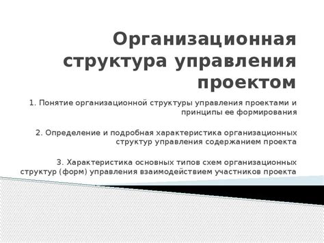 Организационная структура управления проектом