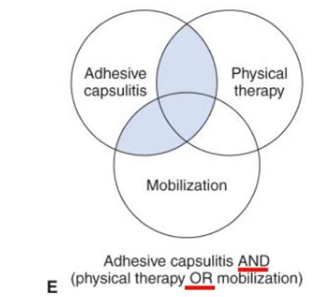EBP Test Flashcards Quizlet EBP Test Flashcards Quizlet