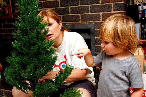 Assembling The Tree 2 2 Free Photos On