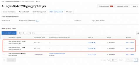 Configure VMs To Access The Internet By Using SNAT Alibaba Cloud Documentation Center