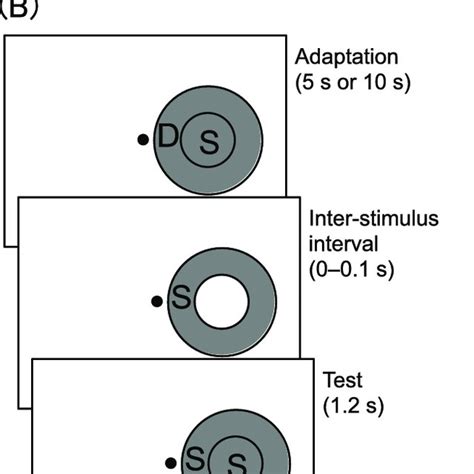 Stimulus Configuration A A Screenshot Of The Stimulus The Right And