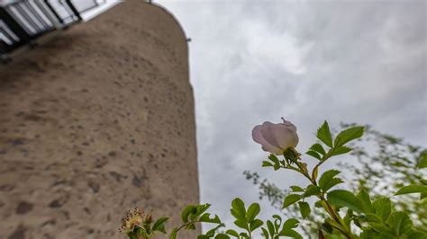 Wetter Schauer Und Gewitter In Rheinland Pfalz Und Dem Saarland Die Zeit