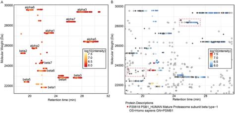 Top Down And Intact Protein Mass Spectrometry Data Visualization For Proteoform Analysis Using
