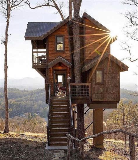 Building A Tiny House Step By Step Guide Artofit