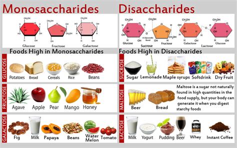 Examples Of Food Monosaccharides At Emma Bushell Blog