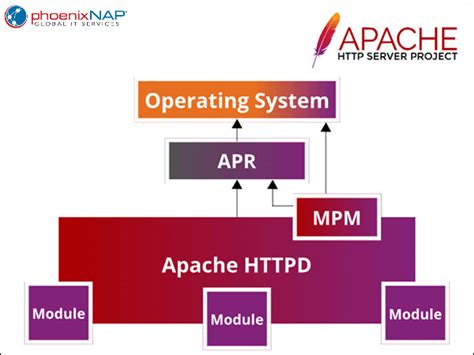 Apache Vs Nginx Detailed Comparison Infographic