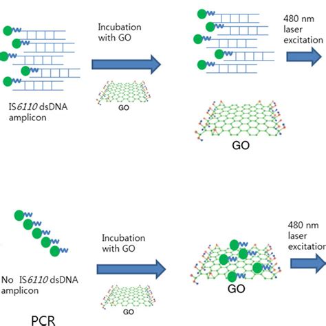 Illustration Describing The Go Based Sensing System For Homogenous
