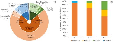 Community Structural And Functional Features Of Benthic Macroinvertebrates In A Cascade Dams River