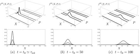 Cross Sections Of The Wigner Distribution Function For The Exciton Download Scientific Diagram