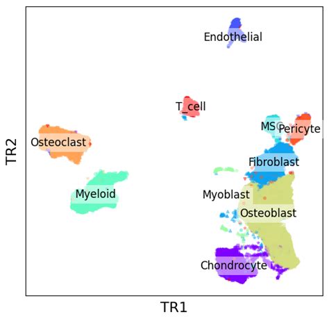 Transmorph A Python Framework For Data Integration — Transmorph 020 Documentation