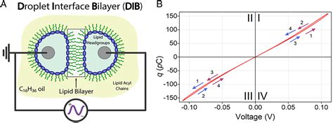 How Bio Inspired Materials Might Inform The Design Of Next Generation