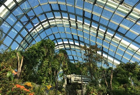 新加坡滨海湾花园的那些花儿 从甘棠到世界