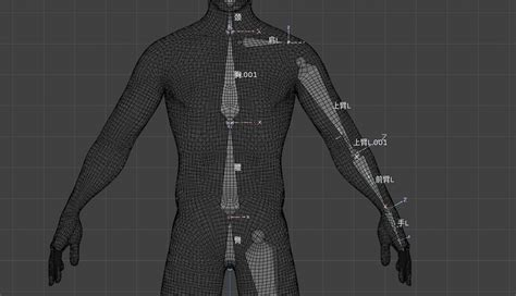 Blender 骨骼绑定记录 陈侠云 博客园