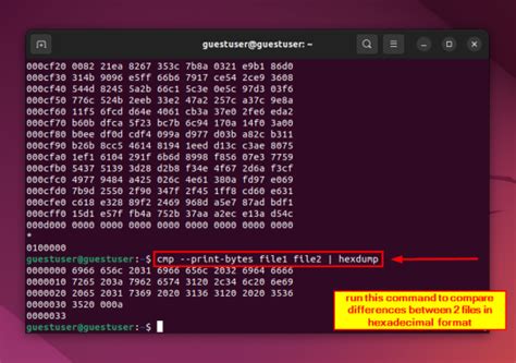 10 Best Ways To Use Linux Hexdump Command