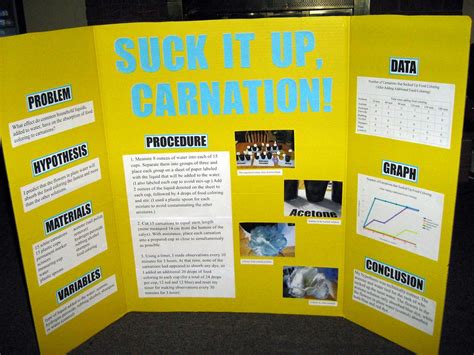 Science Fair Projects Hypothesis Crafting A Winning Proposal Sarah Lyn Gay