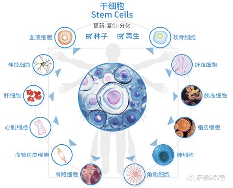 北京致成生物医学科技有限公司