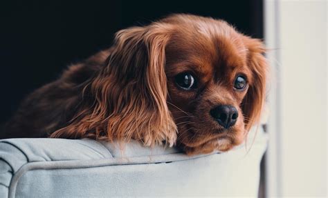 Proactivity Vs Passivity In Training — And In Everyday Life — With