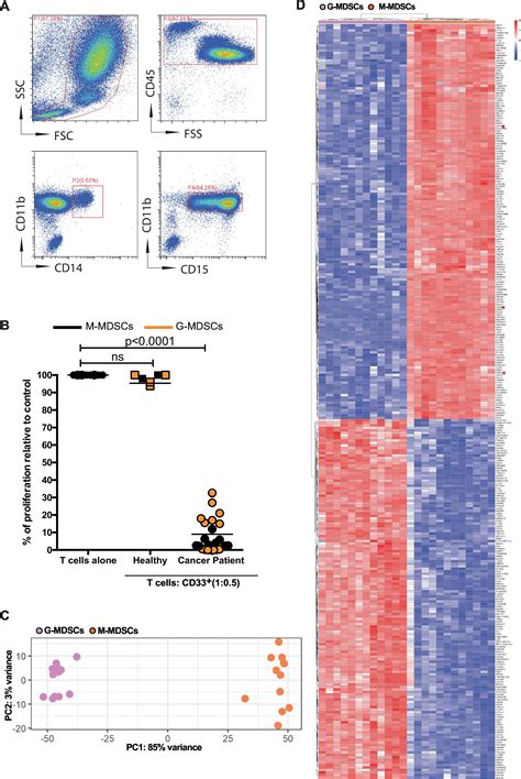 What To Expect During End Stage Copd