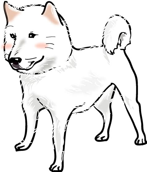 動物の印刷用イラスト素材秋田犬ダウンロード