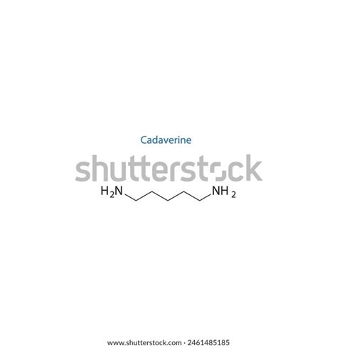 Cadaverine Molecule Skeletal Structure Diagramorganic Compound Stock Vector Royalty Free