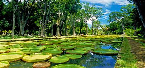 Tourist Attractions In Mauritius Mauritius Tourist Attractions