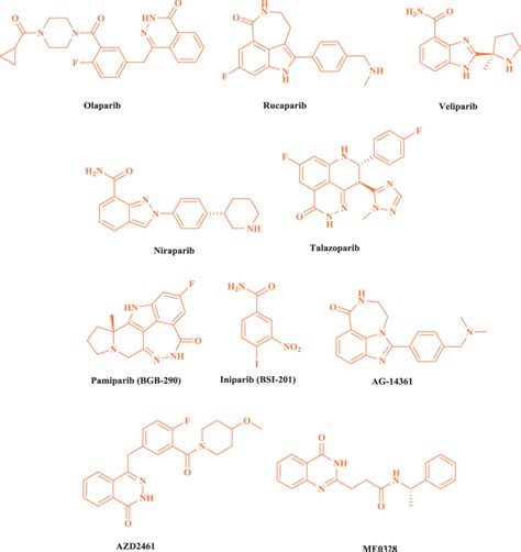 Parp Inhibitor Drugs Download Scientific Diagram