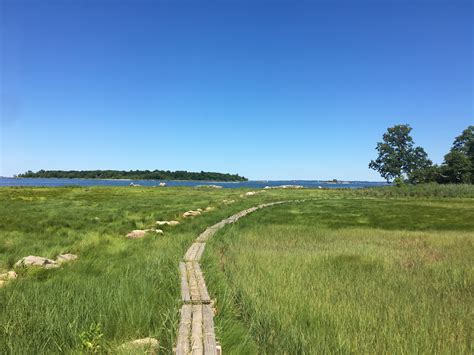 How A New Mapping Tool Is Guiding New York City Toward Environmental