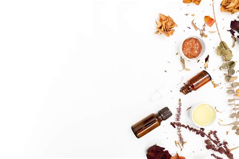 향기로운 식물 화장품입니다 말린된 나물 꽃 혼합물 얼굴 진흙 점토 마스크 오일 브러쉬를 적용 전체 론 초본 스킨케어 아름다움 해킹 생활필수품에 대한 스톡 사진 및 기타