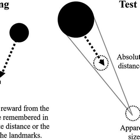 An Example Of Using Transformations To Test What Information Download Scientific Diagram
