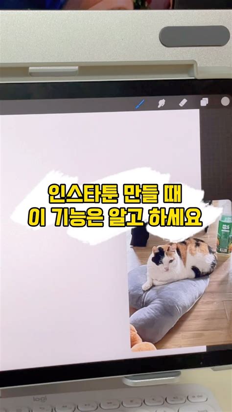 김꾸리 ⭐️ 일러스트레이터 프로크리에이트 초보자 꿀팁 인스타툰 이모티콘 일러스트 그릴 때 모든 자료가 내 머리에 있으면 좋겠지만 그렇지 않을 때가 더 많죠😂