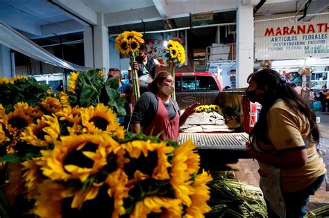 Tandas Para El Bienestar Cómo Solicitar Un Apoyo Desde 6000 Pesos