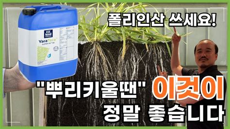 뿌리 키우는 비료 100폴리인산 슈퍼fk30 정말 좋습니다 폴리인산칼륨 비료 추천 관주비료 농사 100단 Youtube