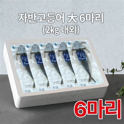 제주직송 제주 자반고등어 대 1호 6마리 1마리당 350g 홈플러스 택배배송