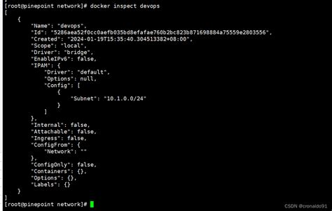 iac基础设施即代码：terraform 创建 docker 网络与容器资源 terraform docker 连接器 csdn博客