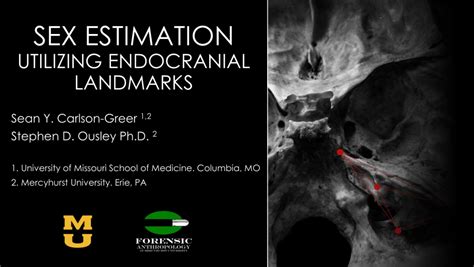 Pdf Sex Estimation Utilizing Endocranial Landmarks