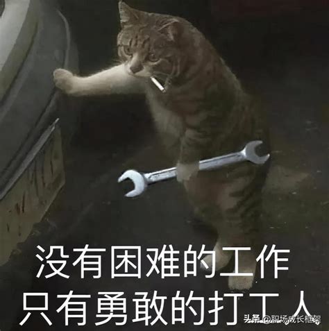Excel排序怎么让后面的数据跟着动（excel实现自动排序的小技巧） 天天办公网