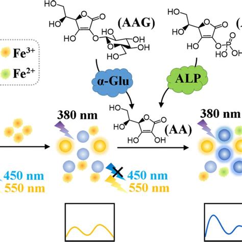 Schematic Illustration Of The Ratiometric Fluorescence Method For Download Scientific Diagram